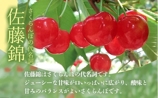 【令和8年産先行予約】さくらんぼ 佐藤錦 2L～Lサイズ混合 バラ詰め 1kg 小林農園 さくらん坊 | dショッピングふるさと納税百選