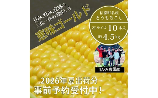 2026年夏の早期予約受付開始！TAKA農園『恵味（めぐみ）ゴールド』2Lサイズ（1本450g相当）×10本セット｜生でも食べられる信濃町名産とうもろこし／スイートコーンの人気品種 令和8年7 ...