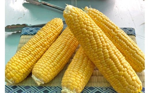 2026年夏の早期予約受付開始！TAKA農園『恵味（めぐみ）ゴールド』2Lサイズ（1本450g相当）×10本セット｜生でも食べられる信濃町名産とうもろこし／スイートコーンの人気品種 令和8年7 ...