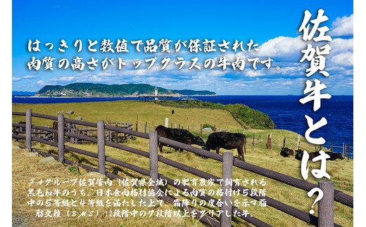 BL061_佐賀牛ローススライスしゃぶしゃぶ用400g | dショッピングふるさと納税百選