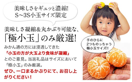 訳あり みかん 小玉みかん くまもと小玉みかん 2.5kg (2.5kg×1箱) 秋 旬 不揃い 傷 ご家庭用 SDGs 小玉 たっぷり 熊本県 産 S-3Sサイズ フルーツ 旬 柑橘 長洲町 ...