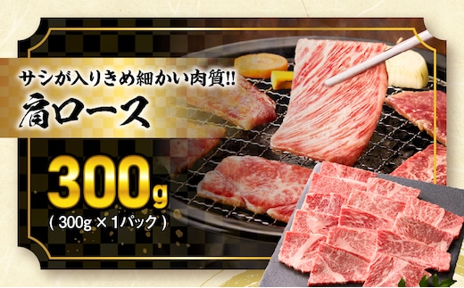 【令和8年3月配送】宮崎牛 赤身 霜降り 焼肉 3種 食べ比べ セット 合計900g 数量限定 肉 牛肉 黒毛和牛 国産 A4 A5 おすすめ 肩ロース モモ ウデ 食品 おかず 晩ご飯 お ...