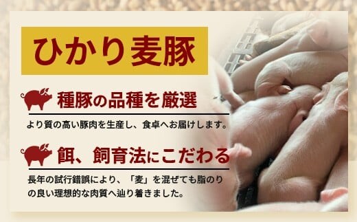 【お歳暮】鹿児島県産 ひかり麦豚 しゃぶしゃぶ 食べ比べセット 900g （300g×3パック）HM-701-os | 肉 お肉 にく 豚肉 ロース 肩ロース バラ肉 スライス 冷凍 真空冷凍 ...