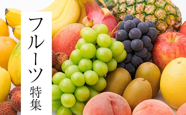 キャンペーン・特集一覧 | dショッピングふるさと納税百選